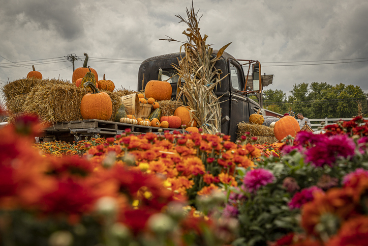 Fun Fall Events You Need to Know About | Imagine Hospitality